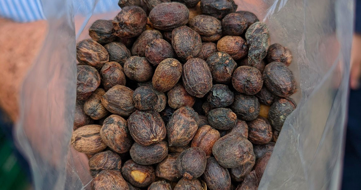 Our Colombian Beans that we import - Finca Velez